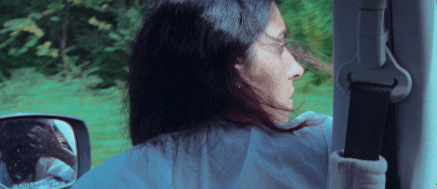 A Way Back: Meetra Javed on Memory, Light, and the Poetry of Nostalgia ...